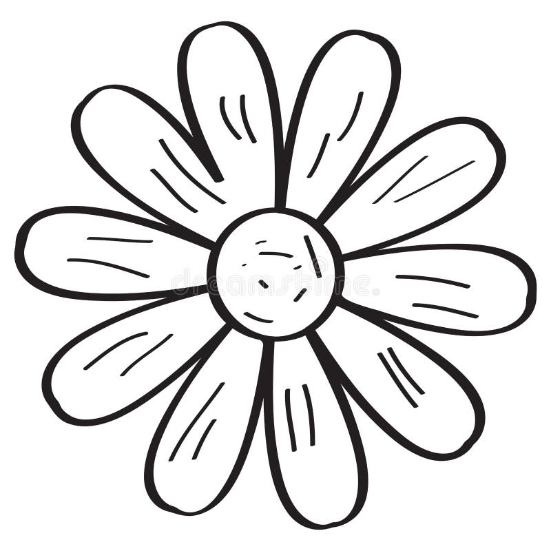 Desenho de uma flor ilustração do vetor. Ilustração de cercado - 111061865