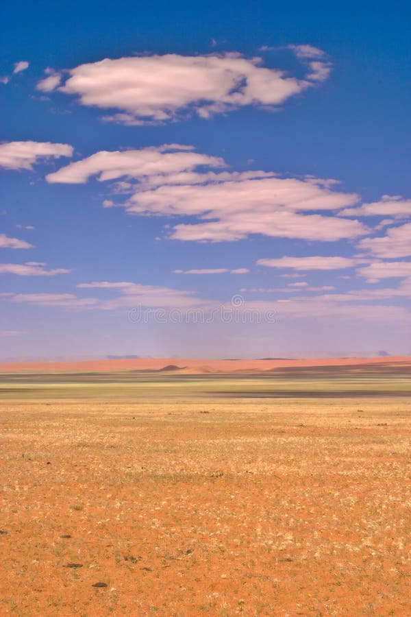 Desert 1 stock photo. Image of africa, drought, desolation - 1981578