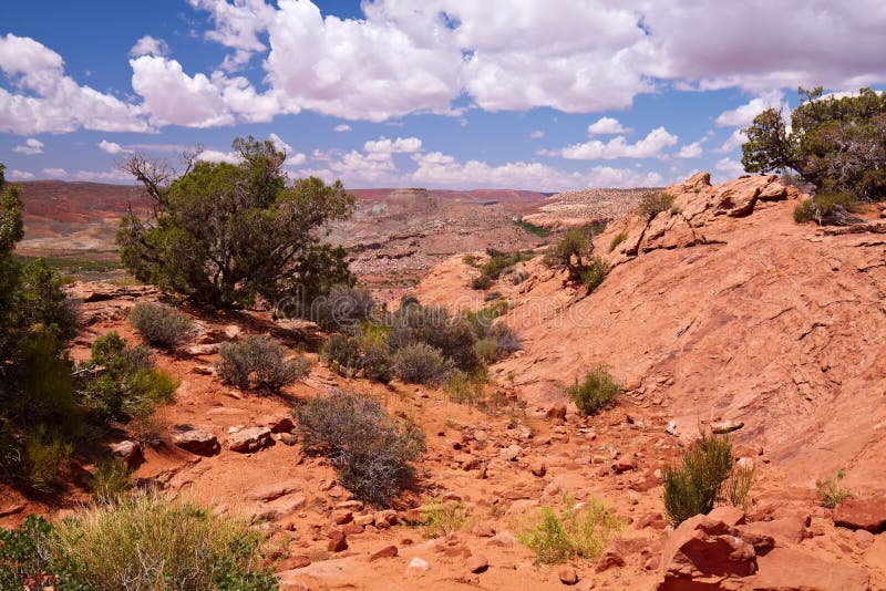 Stream in the Desert Arches National Park Stock Image - Image of ...