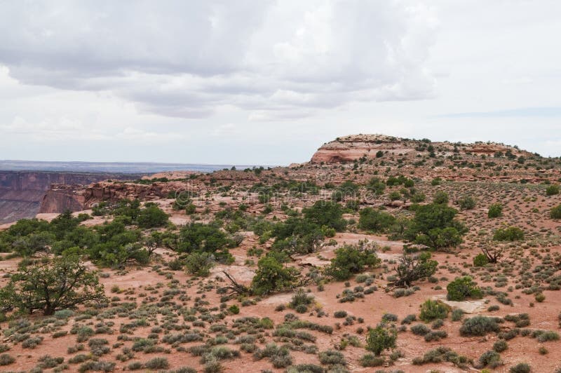 Desert stock photo. Image of national, islands, butte - 15677640