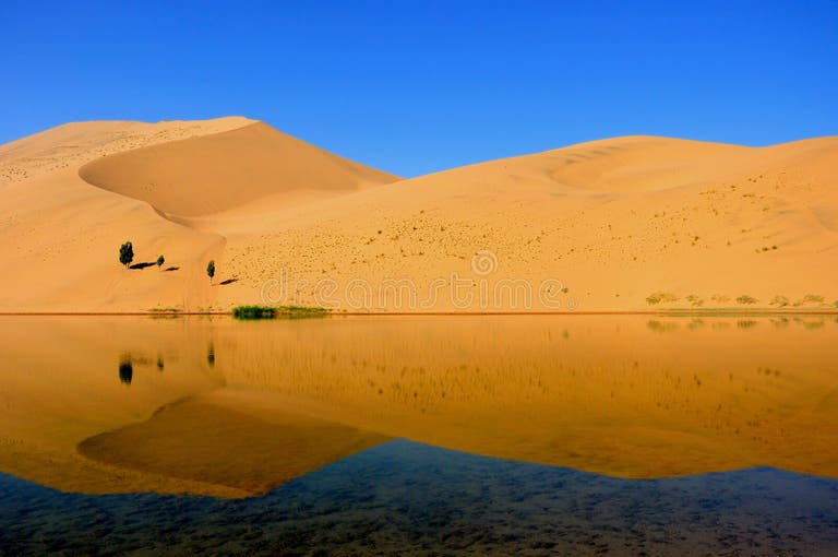 Desert stock image. Image of marks, inverted, nature - 20632405