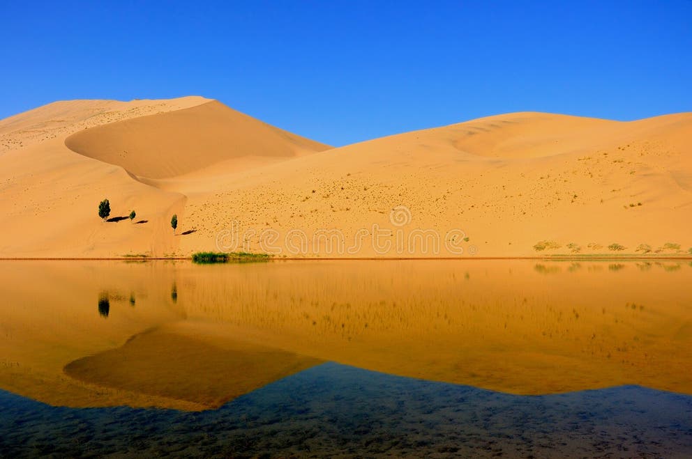 Desert stock image. Image of marks, inverted, nature - 20632405