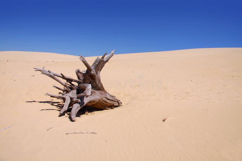 Scenic desert drive stock image. Image of land, park - 13042889