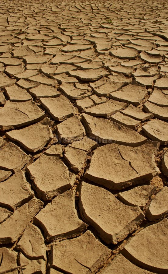 Desert stock photo. Image of desert, barren, ground, brown - 2282856