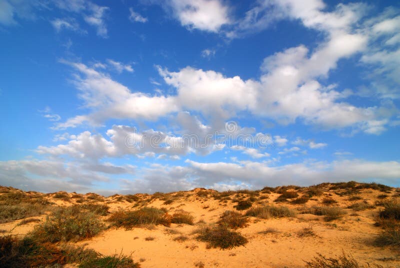 Winter in Negev desert. stock photo. Image of tourist - 17936014
