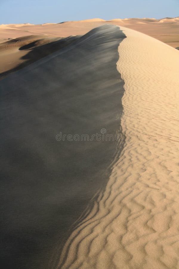 Desert stock photo. Image of desert, calm, light, egypt - 5586890