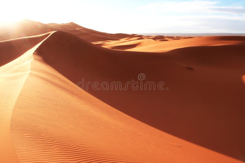 Elephant path stock photo. Image of heavy, national, eastern - 4112614