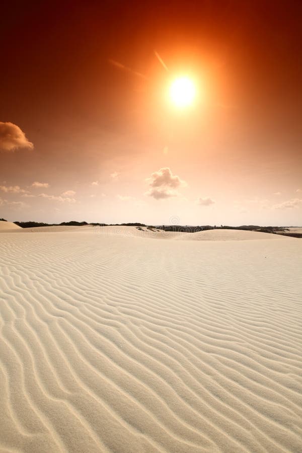 Desert stock photo. Image of summer, landscape, sunshine - 8315368