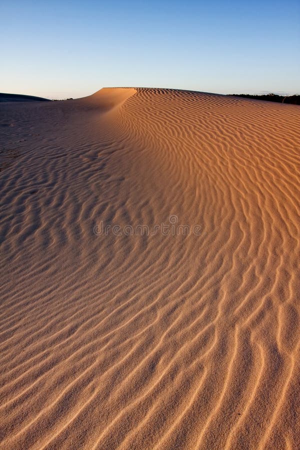Desert stock photo. Image of african, climate, background - 8109396