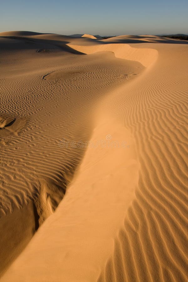 Desert stock photo. Image of african, climate, background - 8109396