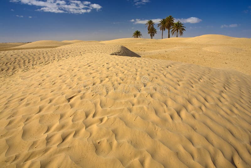 Fall Season Colors stock image. Image of seasonal, plant - 3598627