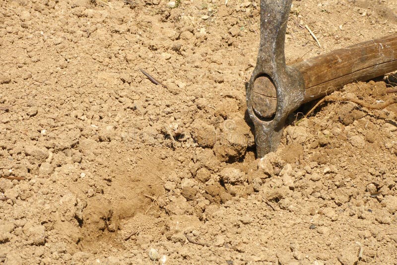 Desert stock image. Image of tool, ground, food, primary - 891887