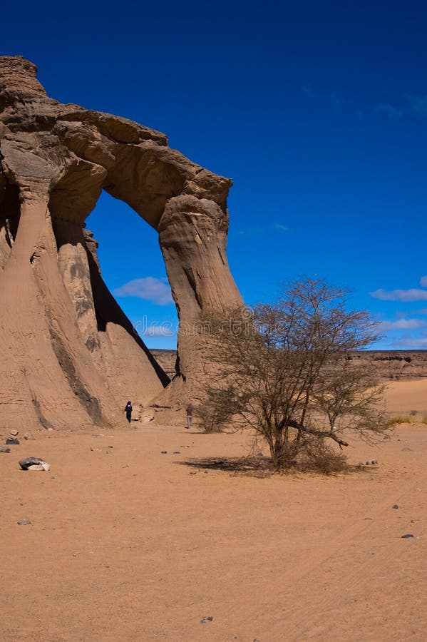 Desert acacus libia stock image. Image of sand, tree, immensity - 7498681