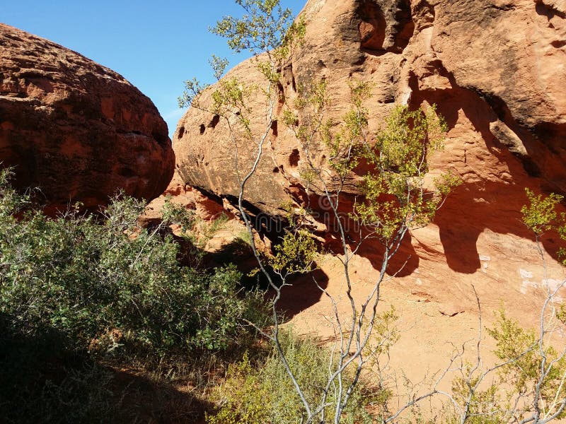 Desert stock image. Image of bedrock, geology, shrubland - 46248727