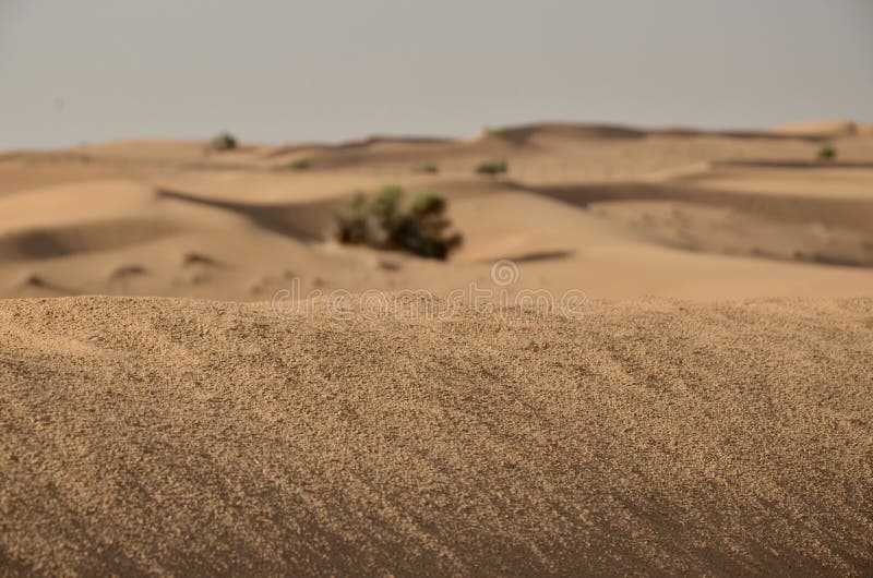 Desert arabic stock image. Image of dunes, yellow, arabian - 86239019