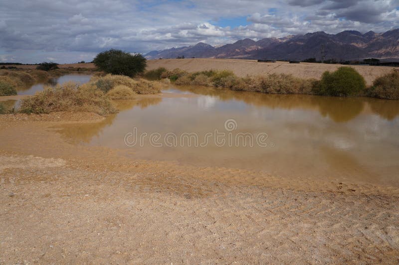 Desert Arava with Puddles after Rain Stock Image - Image of natural ...