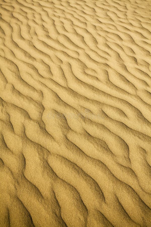 Desert background stock photo. Image of tourism, detail - 24657784