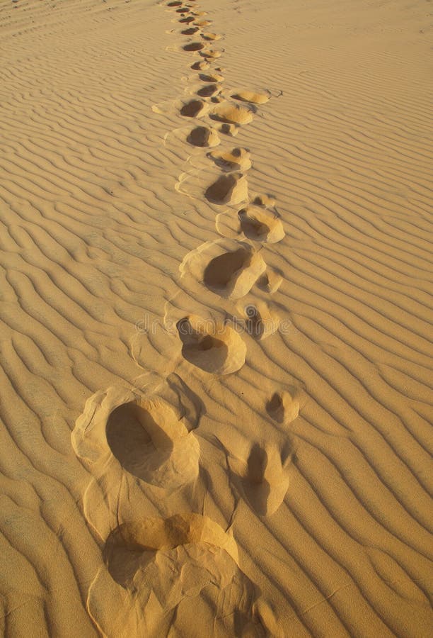 Footsteps in the Sand stock photo. Image of desert, hiking - 4294528