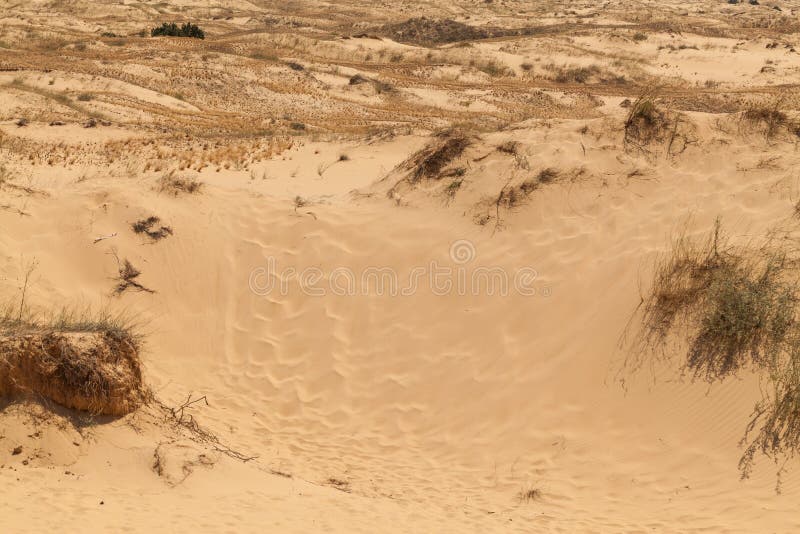 Yellow Desert Sand Texture with Wave Patern. Stock Photo - Image of ...