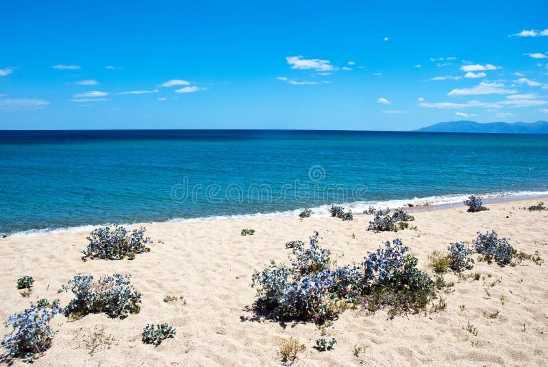 Desert beach stock photo. Image of dune, landscape, summers - 4396826