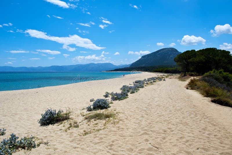 Desert beach stock photo. Image of dune, landscape, summers - 4396826