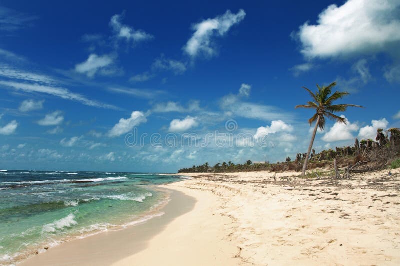 Desert beach stock photo. Image of island, snorkeling - 6334180