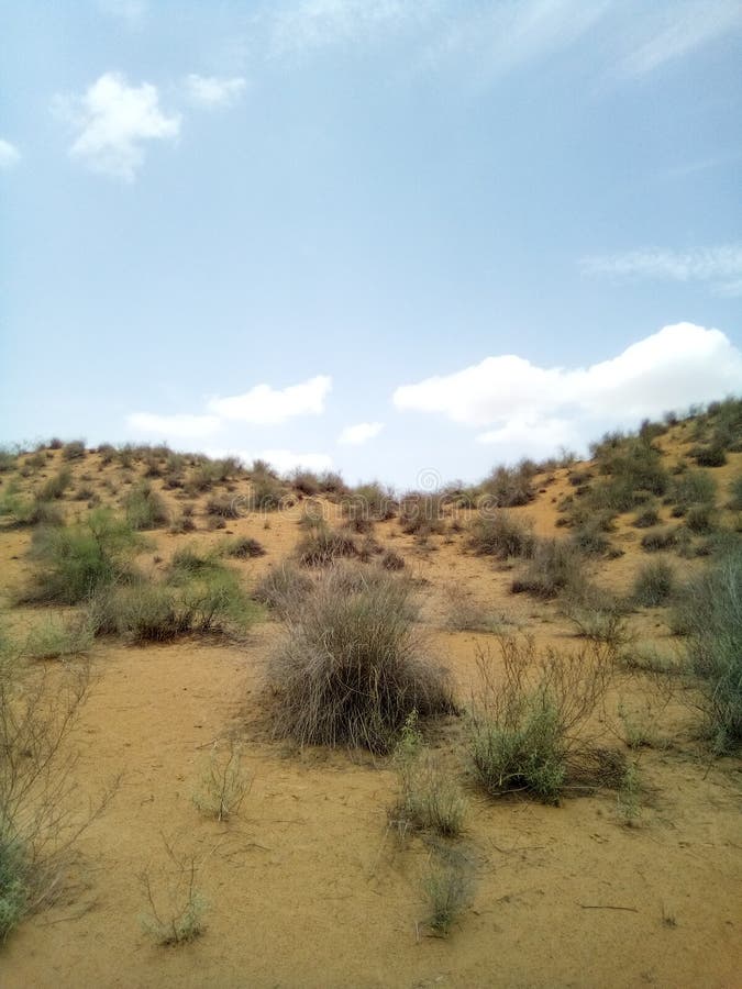 Desert and brambles stock photo. Image of clouds, brambles - 153742716