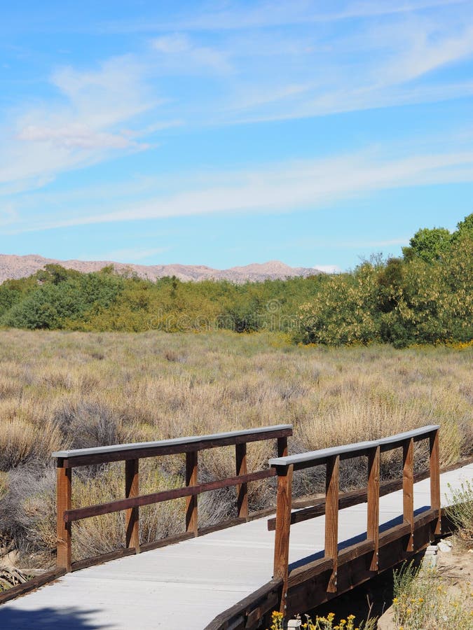 Desert Bridge stock photo. Image of guardrail, river - 96440882