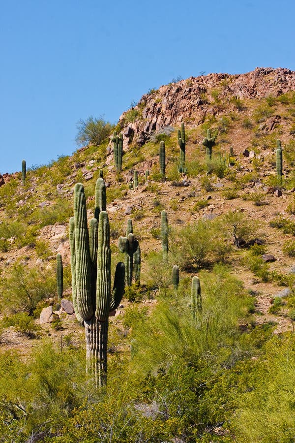 Route 66 Fabulous Scenery Cactus Red Rocks Beautiful Sunset Arizona ...