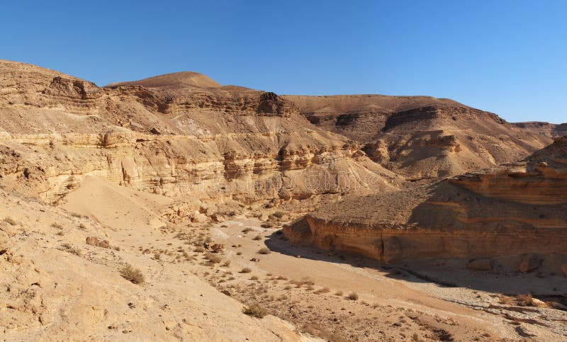 Desert canyon stock photo. Image of east, yellow, israel - 23124732