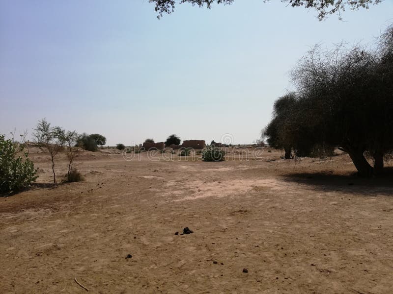 Desert stock photo. Image of rohi, desert, cholistan - 125866398