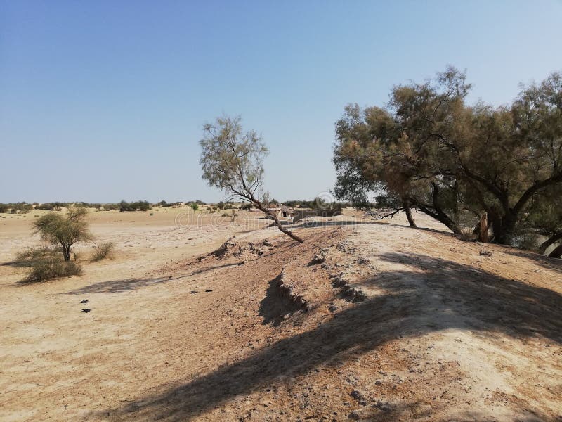 Desert stock photo. Image of cholistan, rohi, pakistan - 125866560