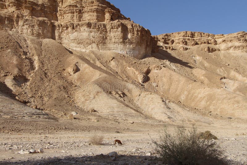 Desert Cliffs stock image. Image of vaction, botch, tzukim - 99443593