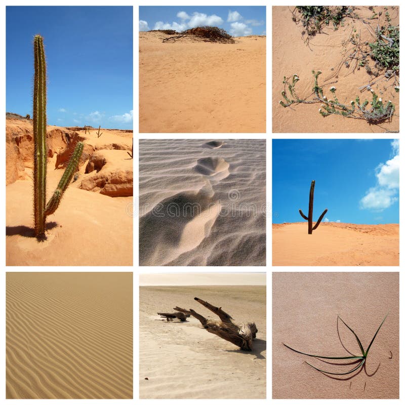 Desert collage stock photo. Image of postcard, sand, landscape - 25267040