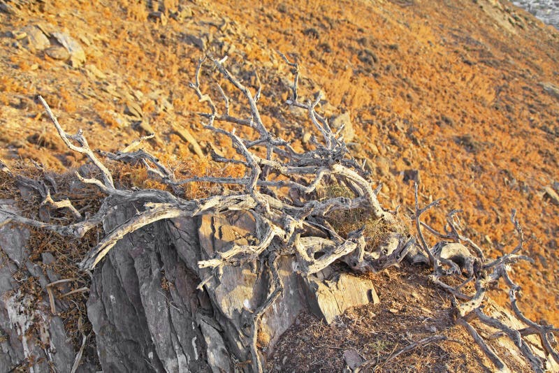 Desert at Crete stock image. Image of greece, crete, golden - 34057123