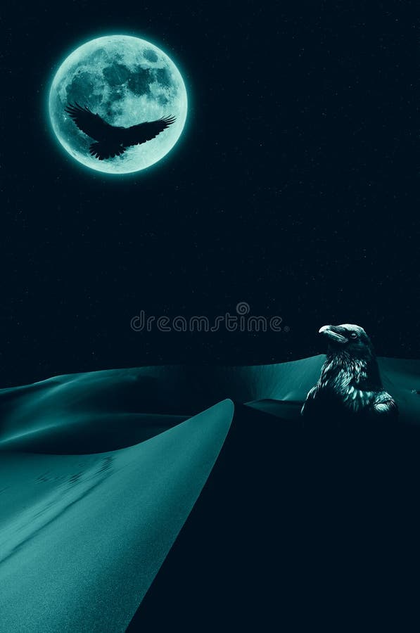 Crows and the Moon. Crows and Moon in Night Sky. Crows and Moon in ...