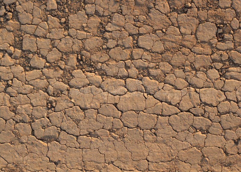 Desert crust soil stock photo. Image of waterless, crust - 56120574