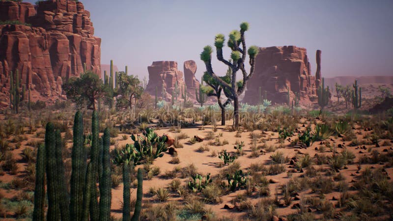 Desert 3d animation stock video. Video of land, cliff - 245708571
