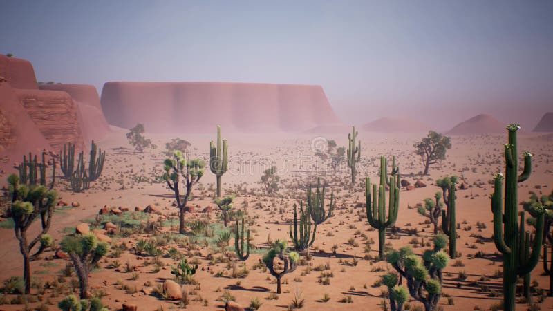 Desert 3d animation stock video. Video of outdoor, cactus - 245709317