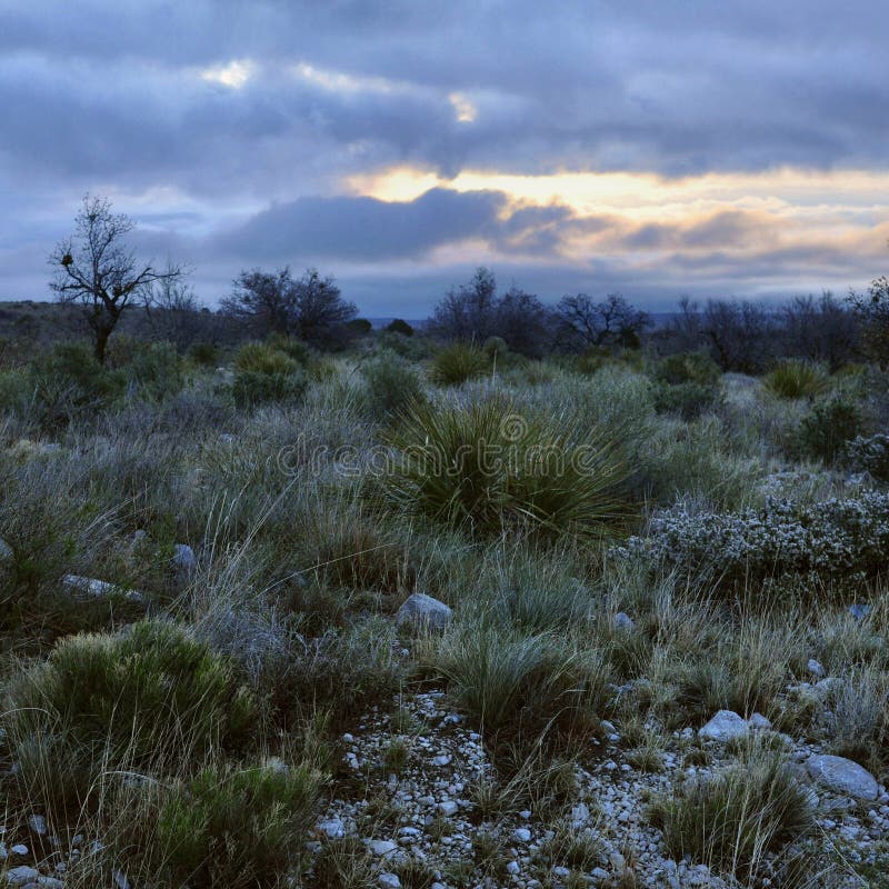 Desert Dawn stock image. Image of clouds, dawn, nature - 16226547