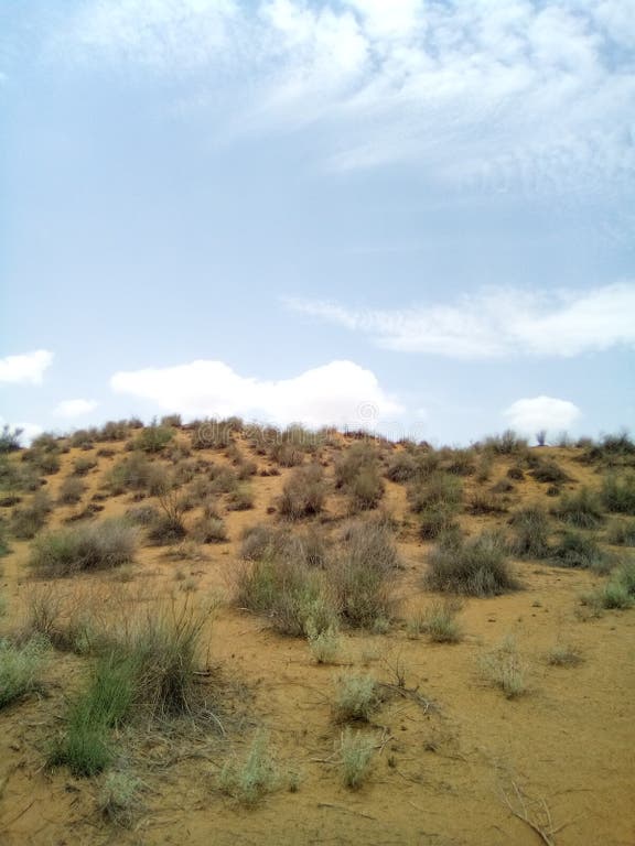 Desert in brambles stock photo. Image of clouds, bramble - 153742684