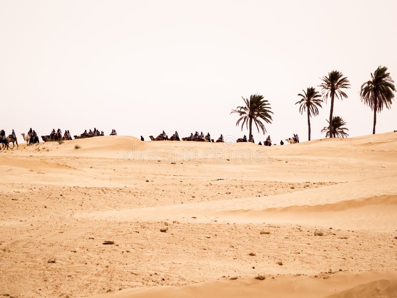 Douz desert, Tunisia stock image. Image of dune, sand - 30375849