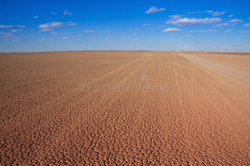 Bones in the Desert stock photo. Image of skeleton, decay - 10300676