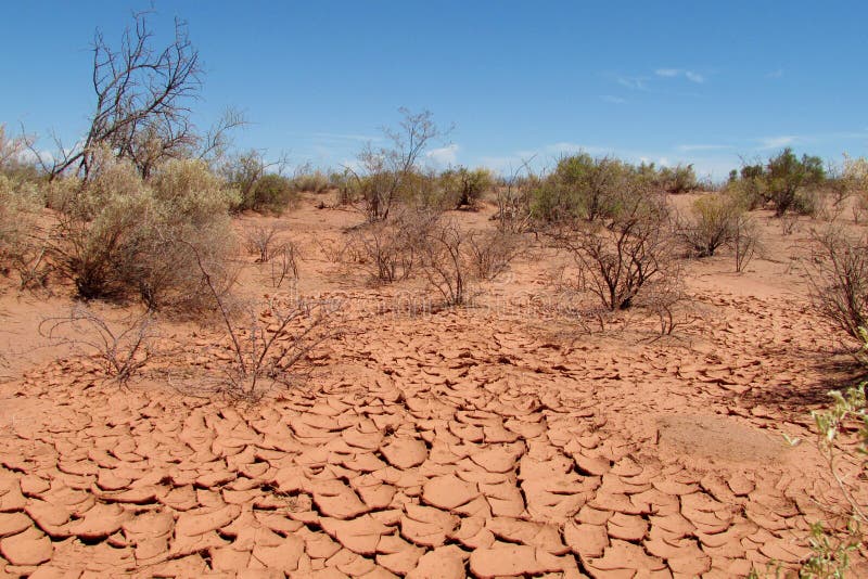 Desert Dry Soil Texture and Bushes on it Stock Photo - Image of desert ...