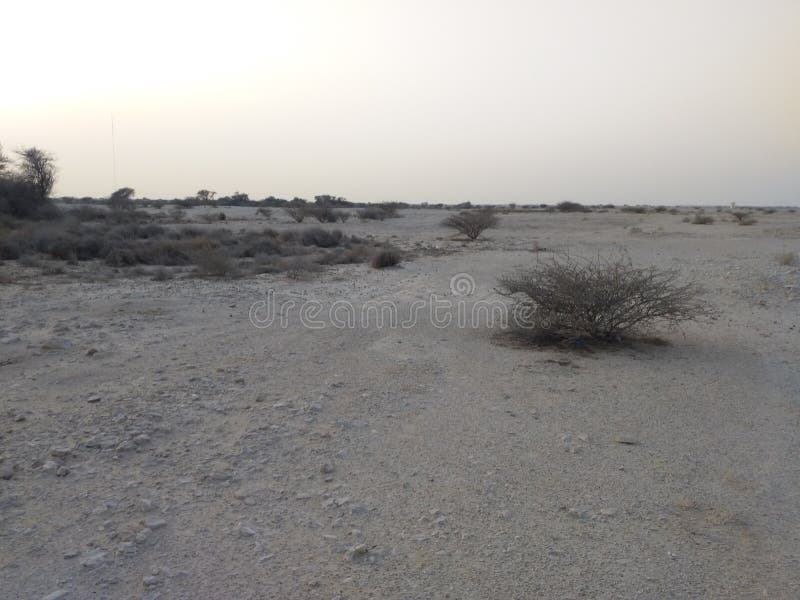 Desert evening beautiful stock photo. Image of wave - 229352790