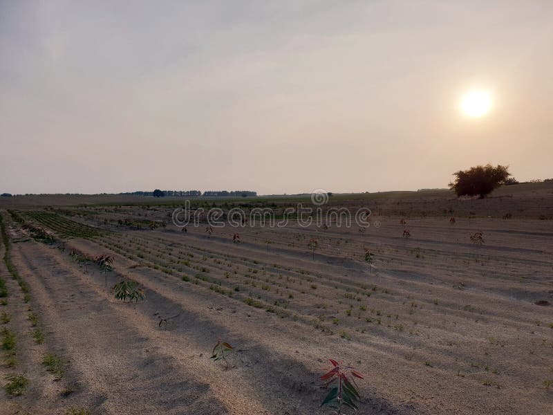 The Desert Evining stock image. Image of desret, hill - 349468475