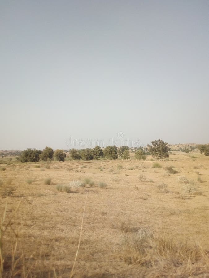 Desert in farmers field stock image. Image of evening - 154071621