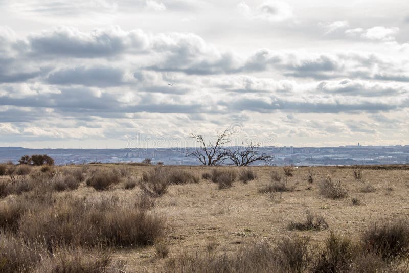 Desert Field Landscape and Cloudy Sky Stock Photo - Image of texture ...
