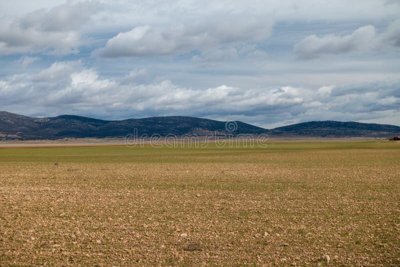 Desert Field in the Province of Zaragoza Stock Photo - Image of scene ...