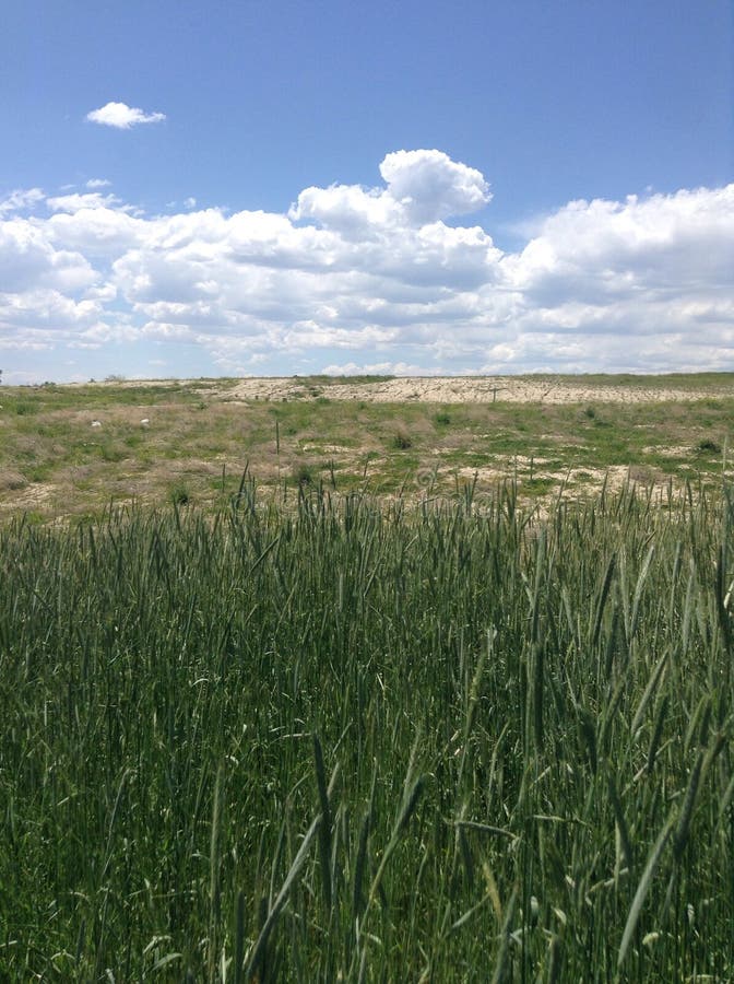 Desert field stock photo. Image of utah, field, desert - 93504358
